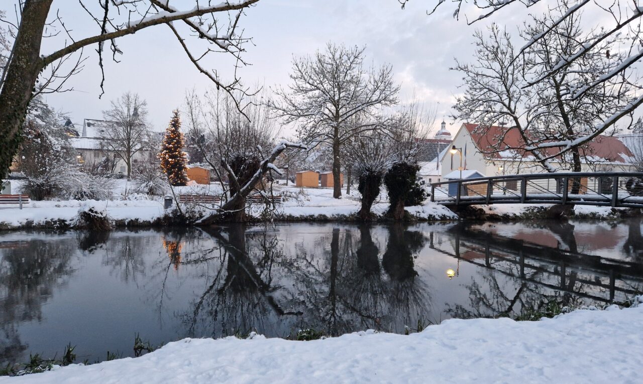 Gundelfingen an der Donau | Lebenswerte Vielfalt an der Donau